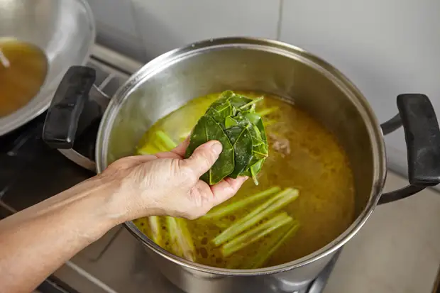 deliciosas refeições para todos os dias