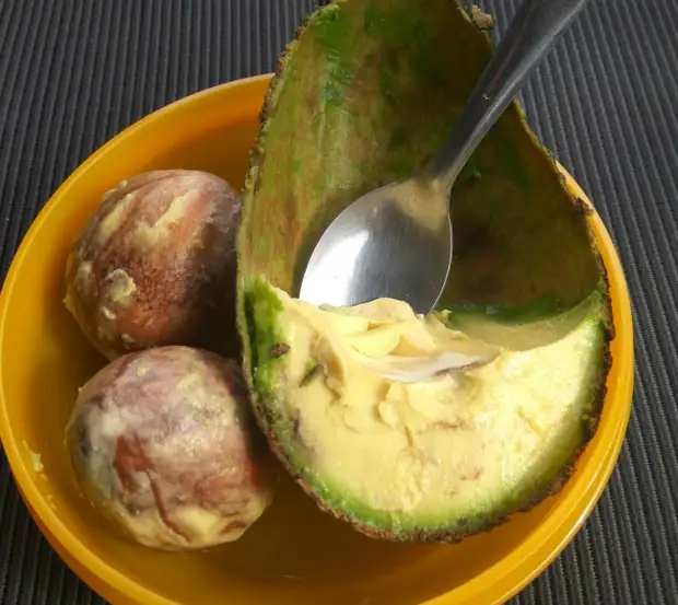 osso di avocado per capelli