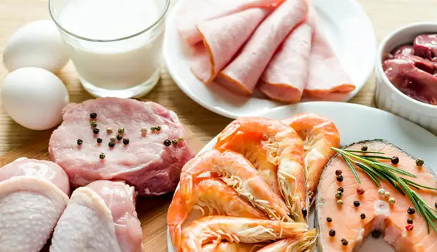 Por que você não deve comer comida de origem animal: fatos chocantes sobre carne e leite