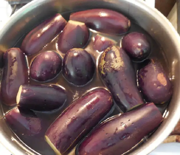 Bilisa ama-eggplant