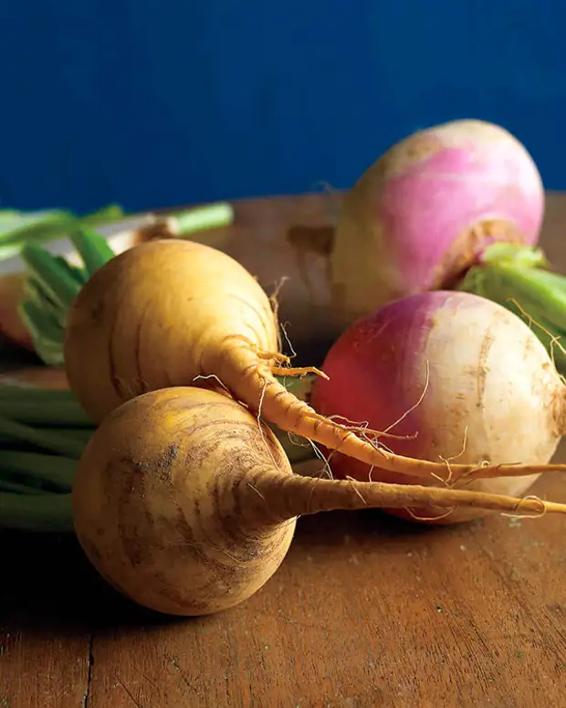 Kutchuka kumabwereranso ku turnips - dziwaninso za ubwino wake!