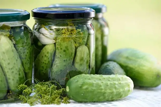 Probiotics na cucumbers