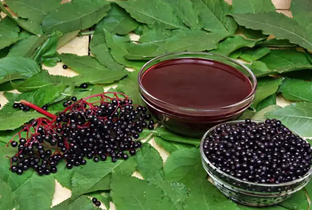elderberry syrup alang sa mga bata