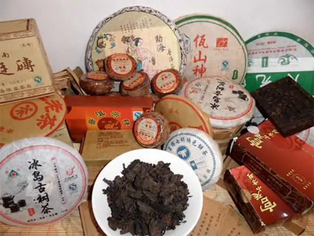 Puer tiyi