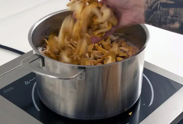 Confiture de girolles suédoises : avec du sorbier et du jus d'airelles rouges