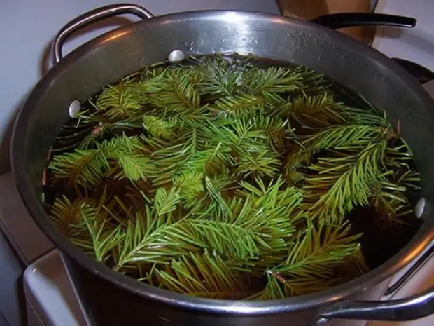 Kiefernnadelmarmelade mit Hagebutte und Zitrone