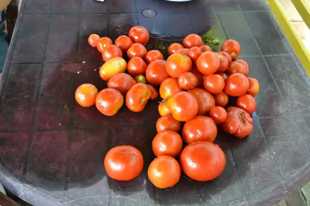 voorbereidingen voor de winter - tomatensap