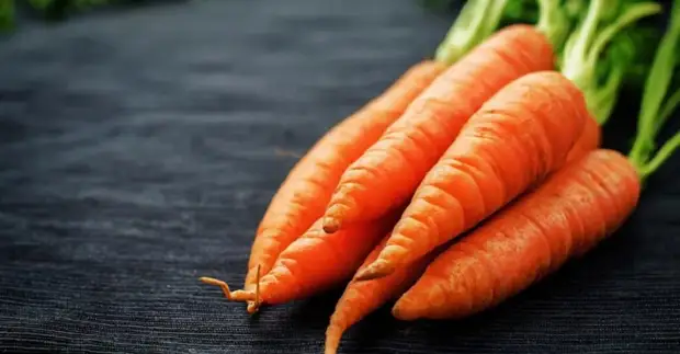 medizinische Eigenschaften von Karottenoberteilen