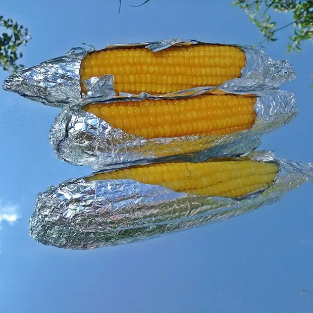Du maïs dans les nuages