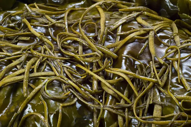 O que comer e beber com uma mudança drástica no clima