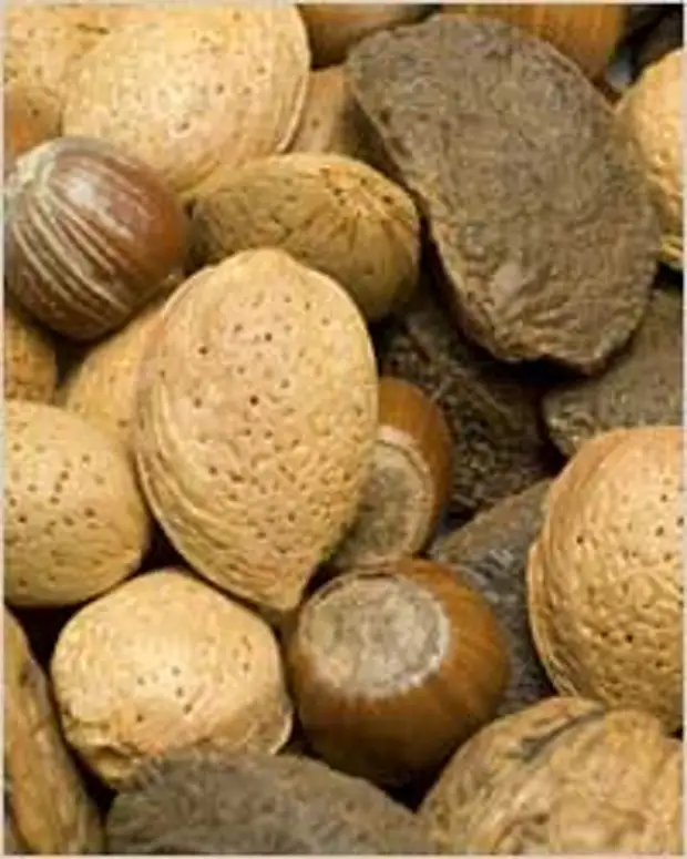 TOP 10 samfurori don kyawawan hakora - Kwayoyi (almonds, Pine kwayoyi, cashews)