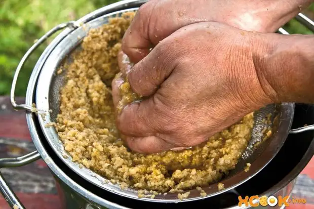 premeu la polpa