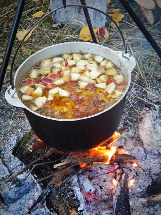 Şulum aw iýmitini, özüňiz et, faktlar