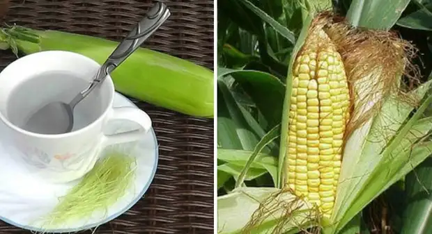 prednosti kukuruza