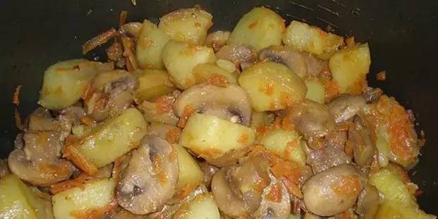 Pommes de terre cuites au poulet et aux champignons dans une mijoteuse