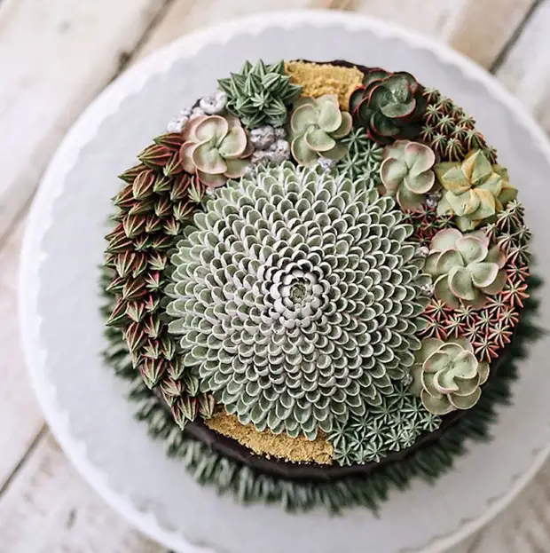 Koki kue Indonesia nggawe succulents sing bisa ditonton