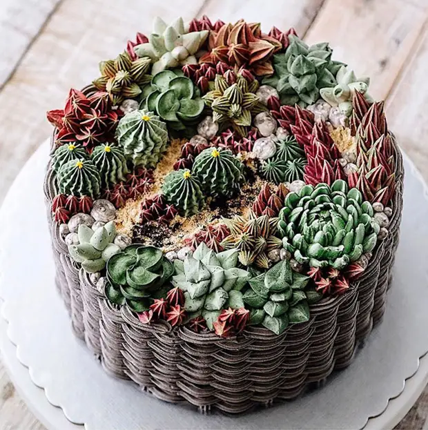 Koki kue Indonesia nggawe succulents sing bisa ditonton