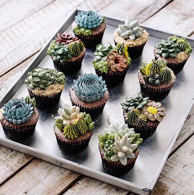 Koki kue Indonesia nggawe succulents sing bisa ditonton