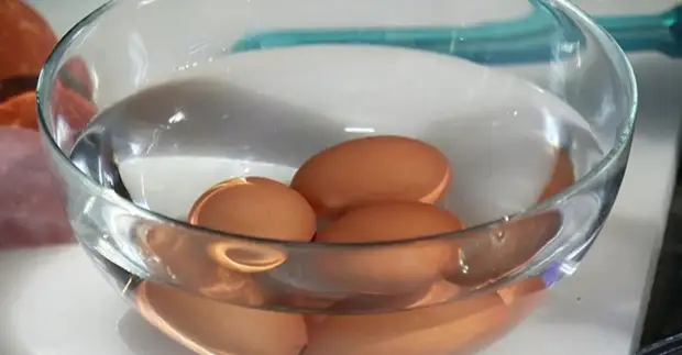 Wiek jaj można sprawdzić za pomocą miski z wodą. / Zdjęcie: legkovmeste.ru
