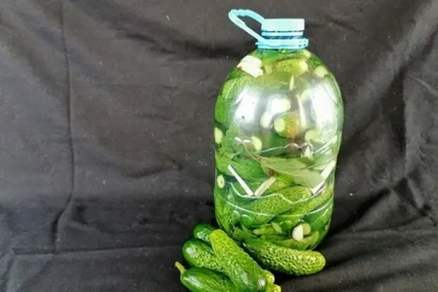 Foto vir die resep: 'n Vinnige manier om komkommers vir die winter in te piekel / komkommers in 'n bottel