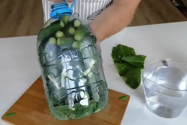 'n Vinnige manier om komkommers vir die winter / komkommers in 'n bottel te piekel: foto stap 3