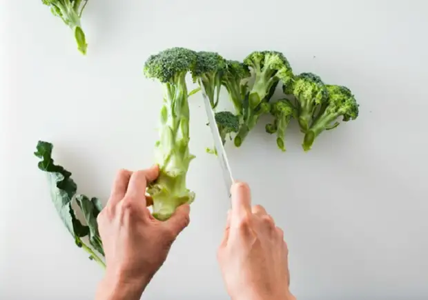 tangkay ng broccoli