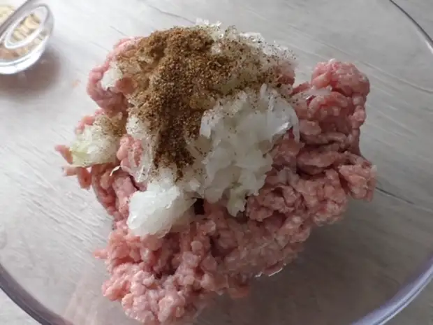 Bag-ong resipe sa minced meat. Imposible nga makasukol!