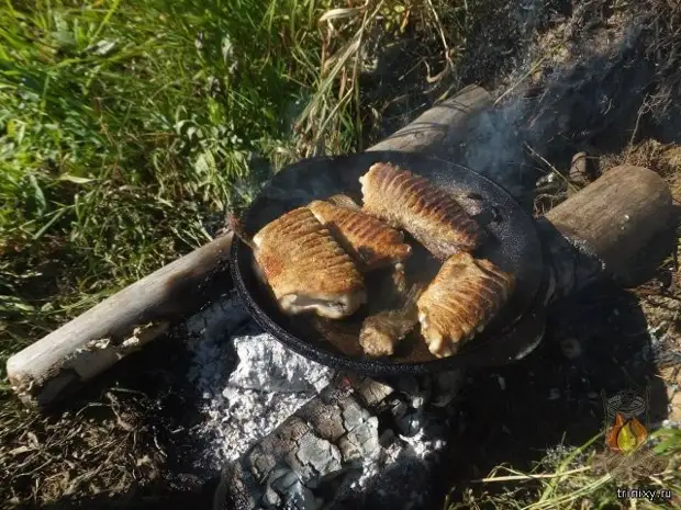 Manĝaĵo dum piedvojaĝo kaj ekstere estas ĉiam pli bongusta! (22 fotoj) tagmanĝo, naturo, rostokrado.