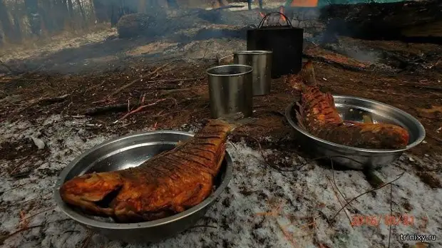 ¡La comida en una caminata y al aire libre siempre es más sabrosa! (22 fotos) almuerzo, naturaleza, barbacoa.