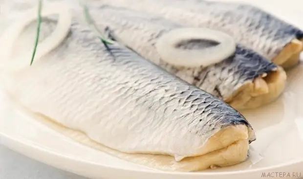 Recipe sira 12 ho an'ny mackerel, herring, sprat ary capelin