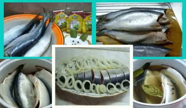 Макерел, herring, sprat, capelin зэрэг гар хийцийн 12 давсалсан жор