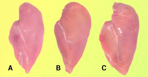 சரியான கோழி மார்பகத்தை எவ்வாறு தேர்வு செய்வது