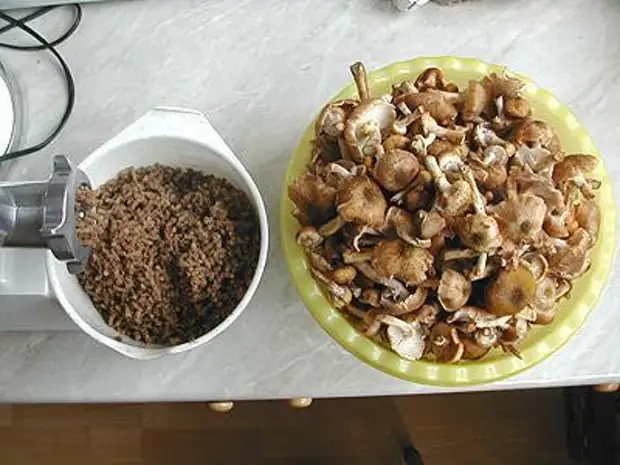 Delicate meatloaf with mushroom filling