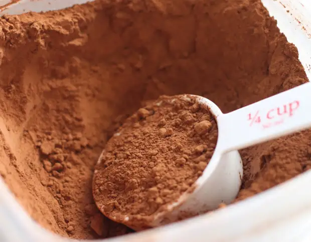 Mga litrato sa hangyo Tinuod nga tsokolate gikan sa cocoa powder: