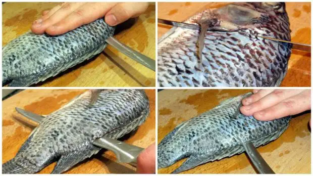 Εικόνες κατόπιν παραγγελίας Πώς να κόψετε το ψάρι σε φιλέτα