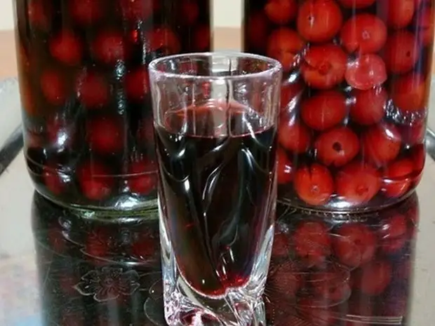 Ny liqueur an'i dadabe 4 amin'ny 4 liqueur homemade, ataovy ny tenanao