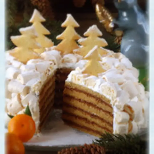 Etap-pa-etap foto resèt la: Snowdrift Honey Cake