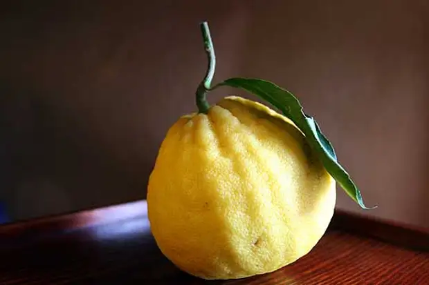 Matunda ya Bergamot