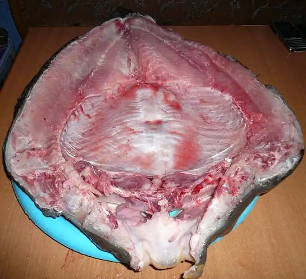 O peixe, cortado e pelado, debería resultar así (como un bolo): comida, pratos de peixe