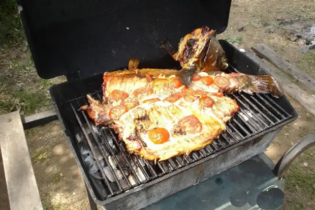 Hasil (dari berbagai sumber): makanan, masakan ikan