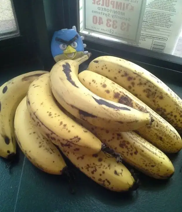 Dann nehmen Sie zwei reife Bananen, die bereits gesichtet sind. Bananen, Krankheiten, Honig, Ratschläge, Tricks