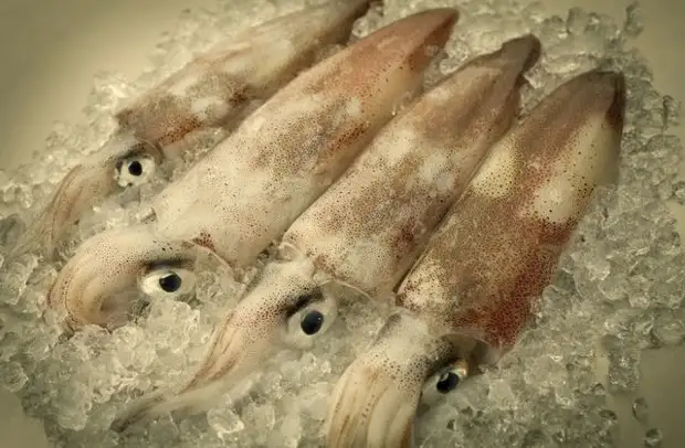 Frozen or fresh squid should first be thawed at room temperature or in the refrigerator, then pour boiling water for one minute, drain the boiling water and place them in cold water