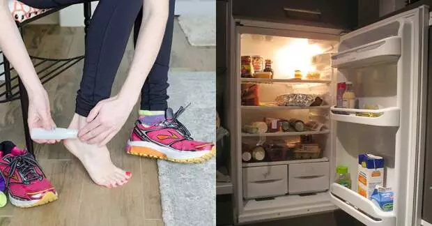 Gyvenimas su šaldytuvu