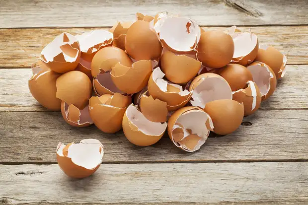 10 reasons not to throw away your eggshells