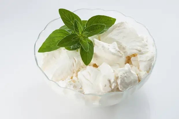 Mint Curd Dessert Recipe