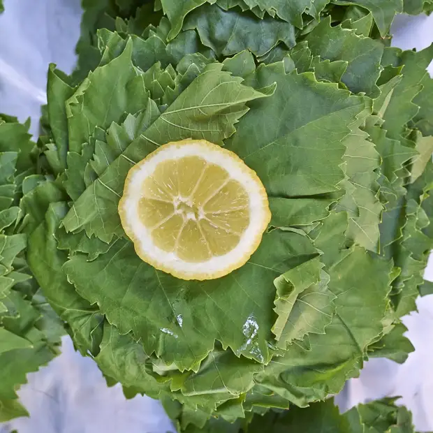 angaphike bwanji masamba a dolma