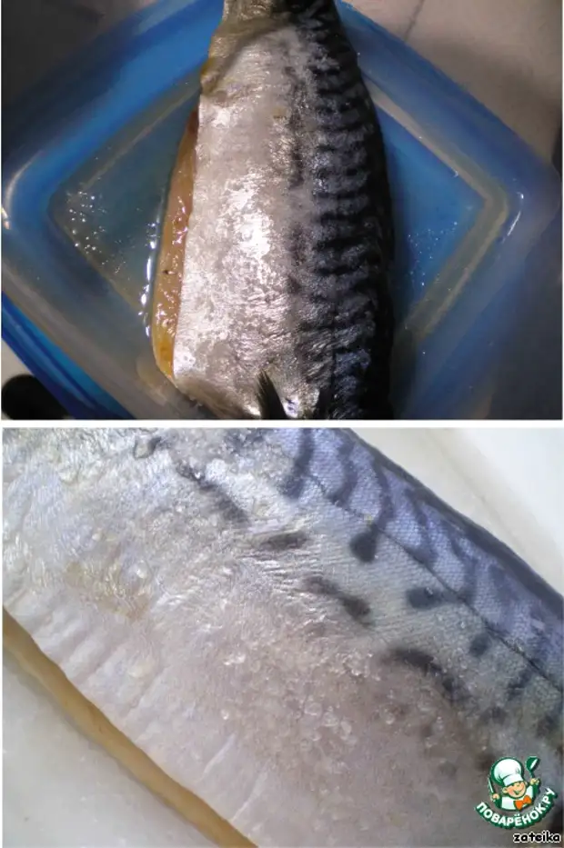 Mackerel tshwj xeeb ambassador: qhuav salting nrog khov