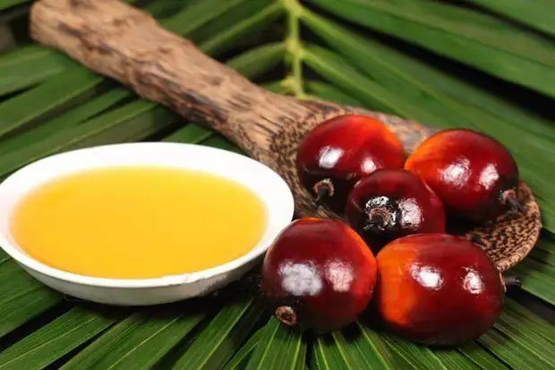 Palm oil is widely used