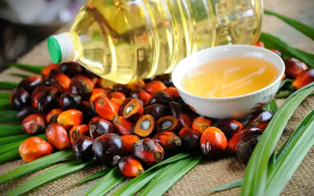 Czy olej palmowy jest niebezpieczny dla Rosjan?