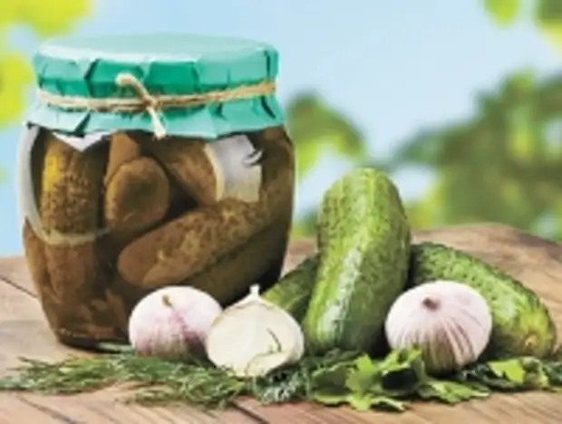 Lightly salted cucumbers: peb ceev zaub mov txawv thiab ua noj ua haus tricks